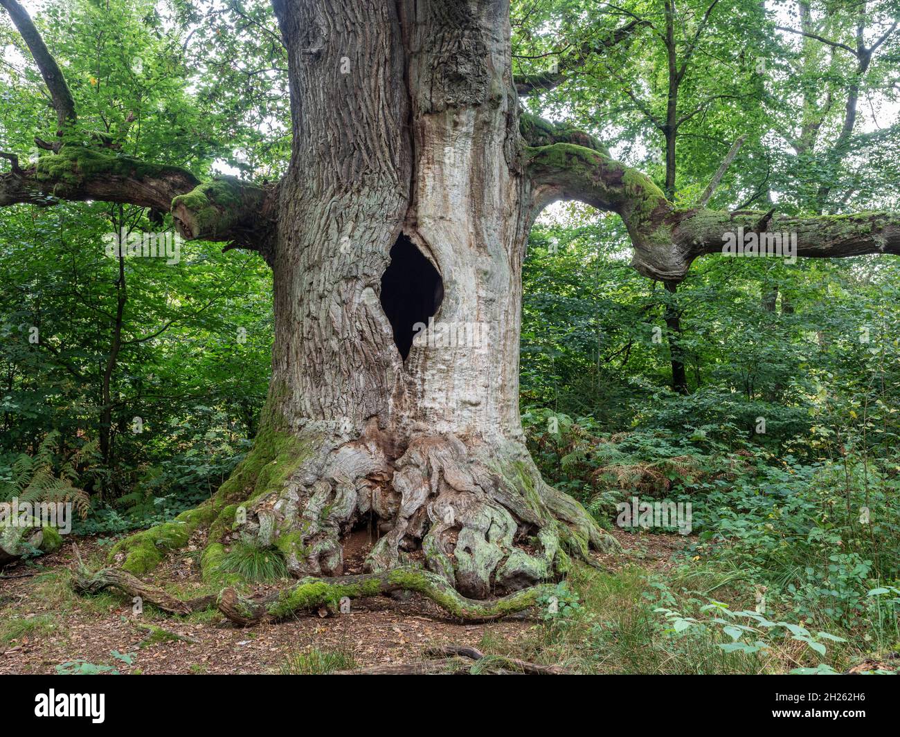 Protected nature reserve hi-res stock photography and images - Alamy