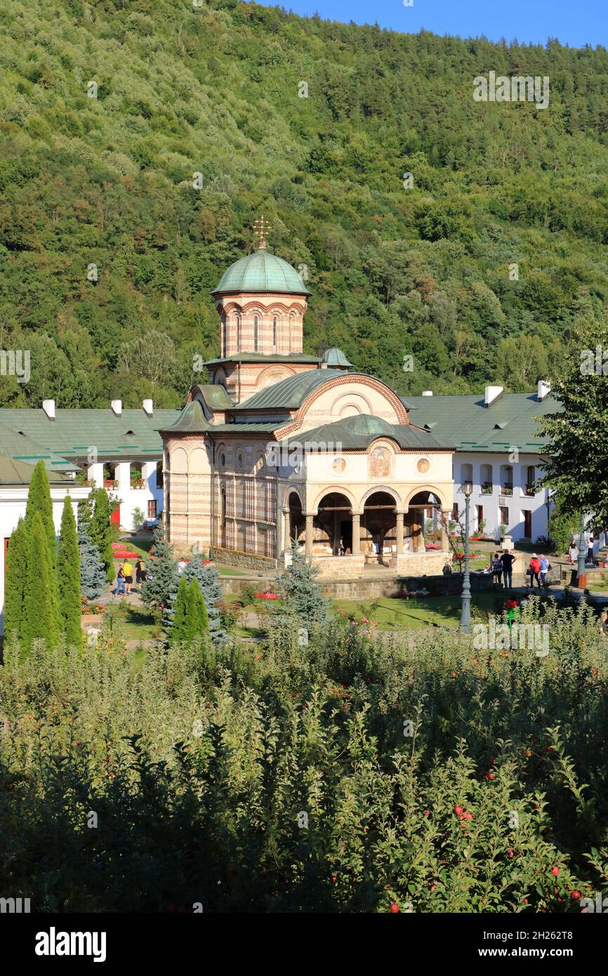 Romania cozia national park hi-res stock photography and images - Alamy