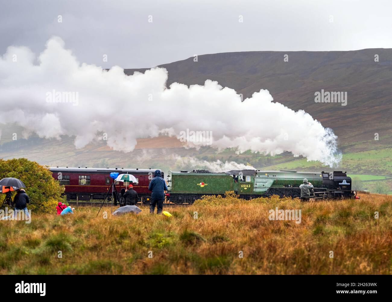 60163 tornado steam locomotive hi-res stock photography and images - Alamy