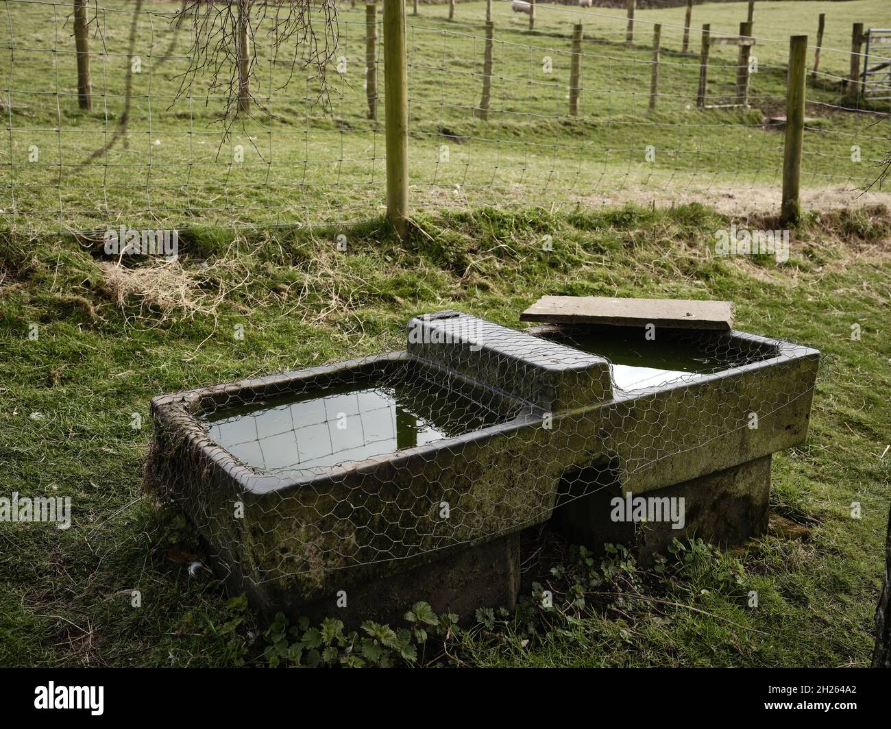 Animal drinking trough hi-res stock photography and images - Alamy