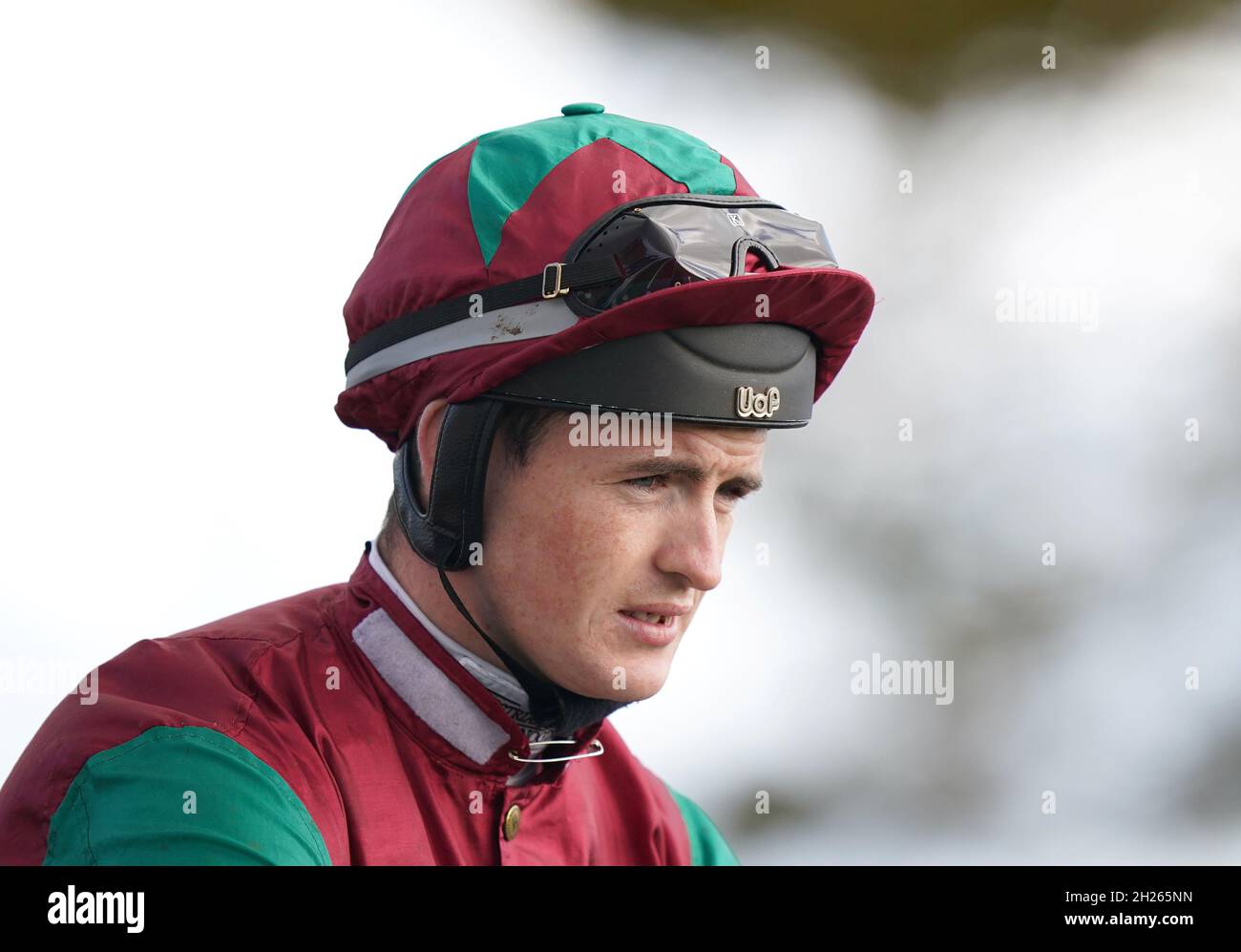 Newmarkey hi-res stock photography and images - Alamy