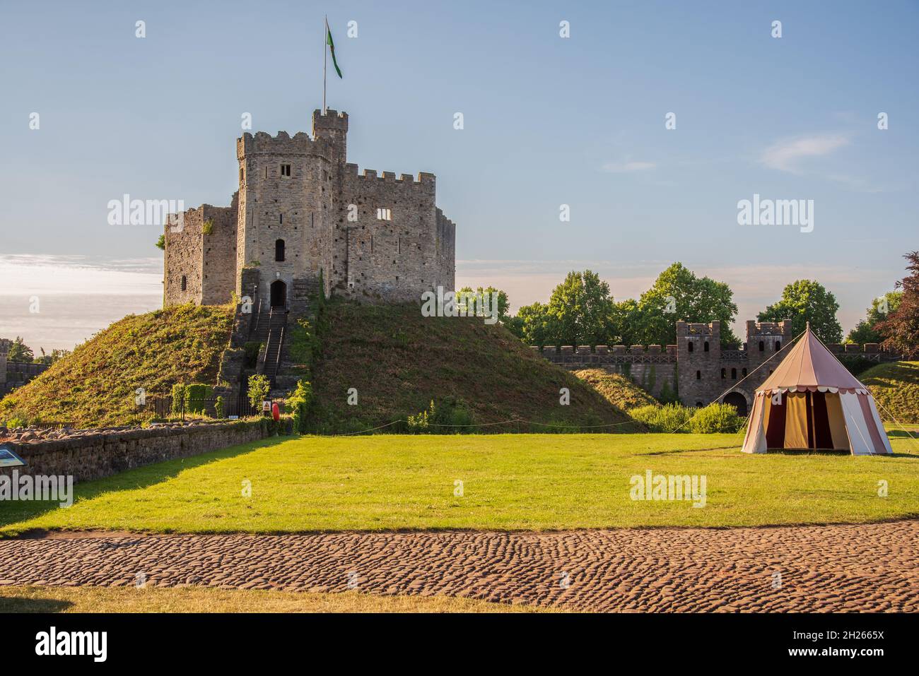Cardiff wales flag hi-res stock photography and images - Alamy