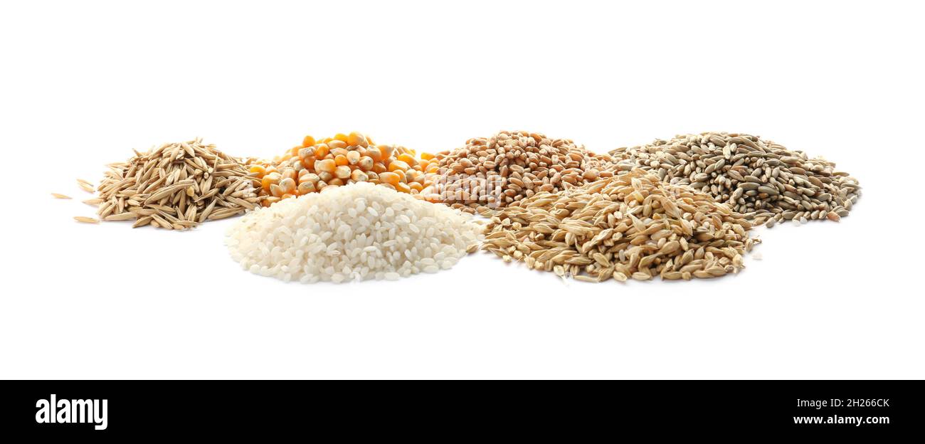Different types of grains and cereals on white background Stock Photo ...