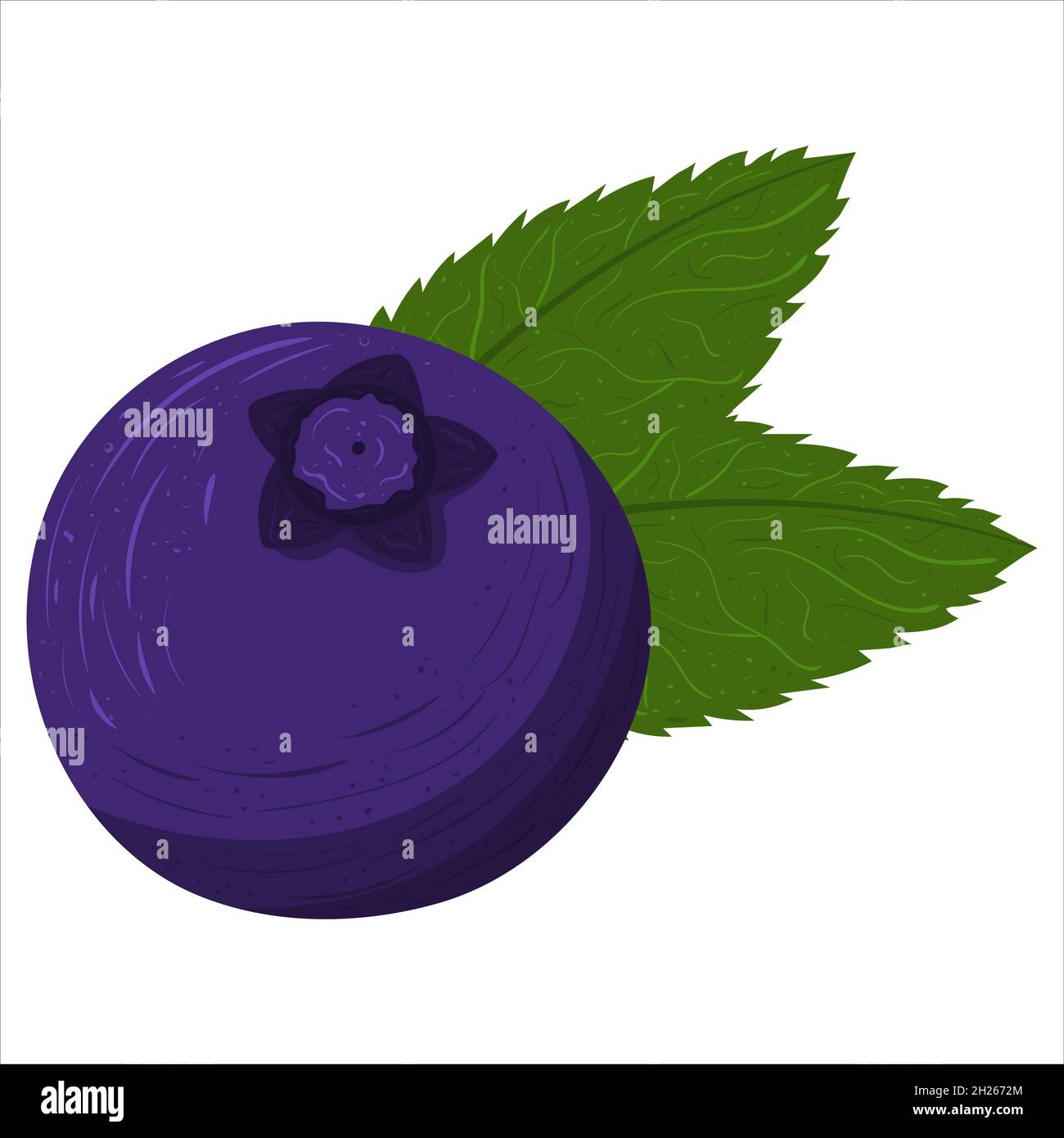 Cartoon illustration with colorful blueberry with green leaf. Farm ...