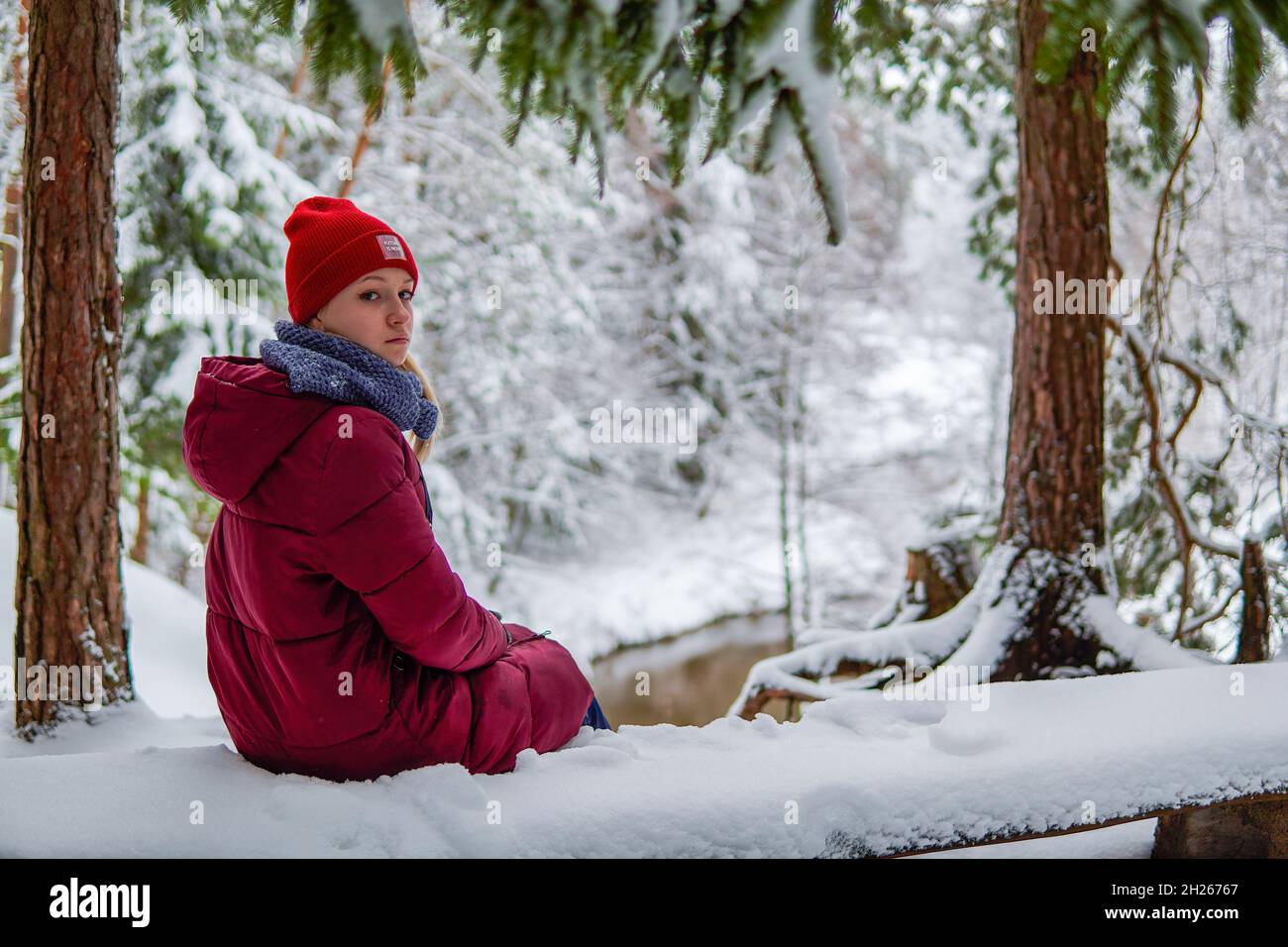 teenage girl sit on a bench in a snowy forest bench Stock Photo - Alamy