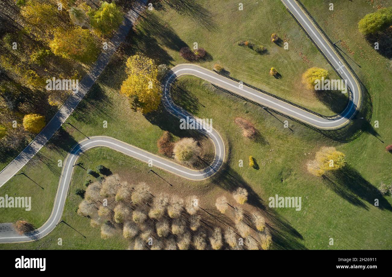 Bicycle path in the park. Ecosystem and healthy environment concepts ...