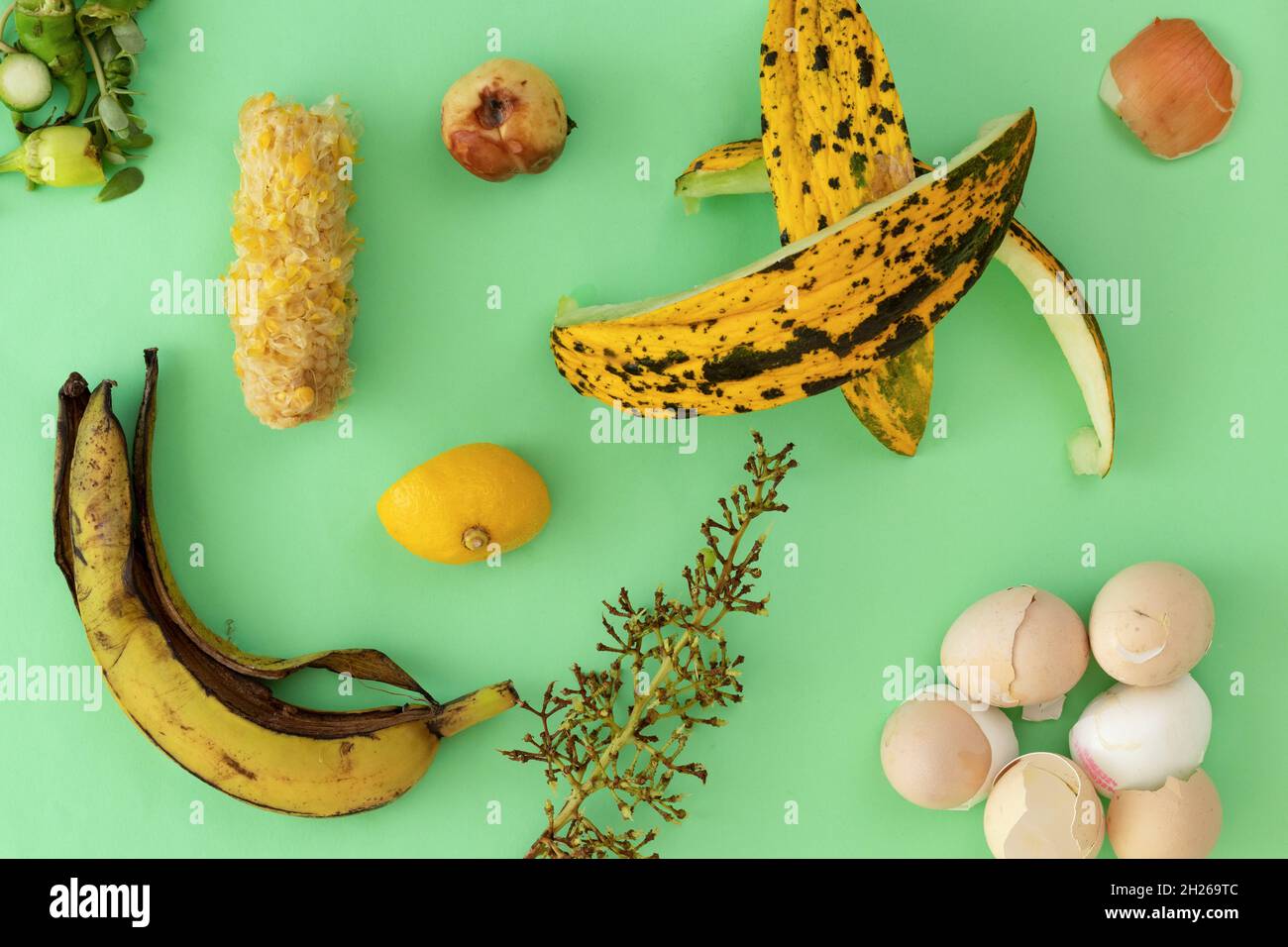 Organic waste materials laid on green isolated background. waste ...