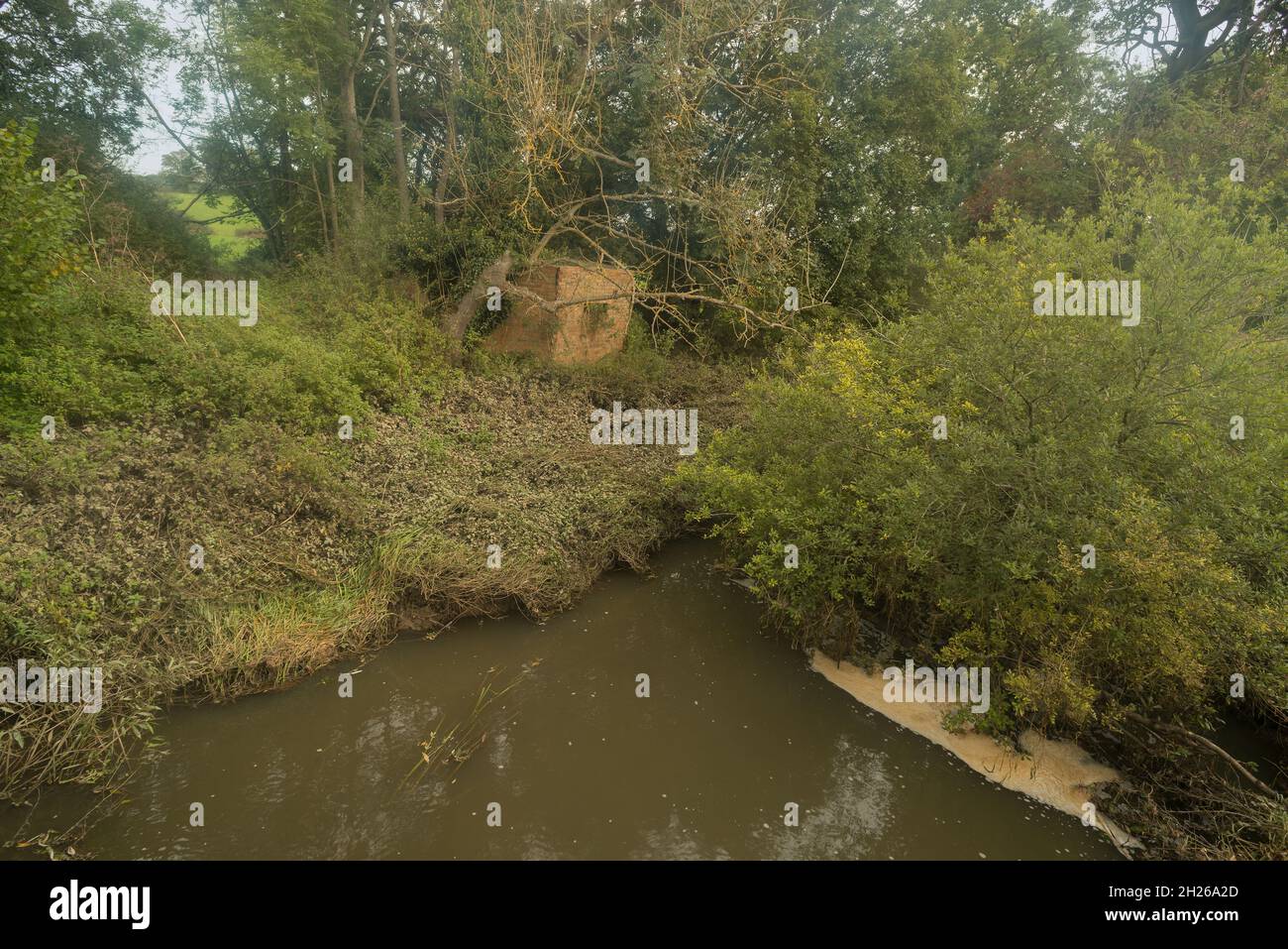 Overgrown Type 24 pillbox river Eden, relic of the defence system in UK ...