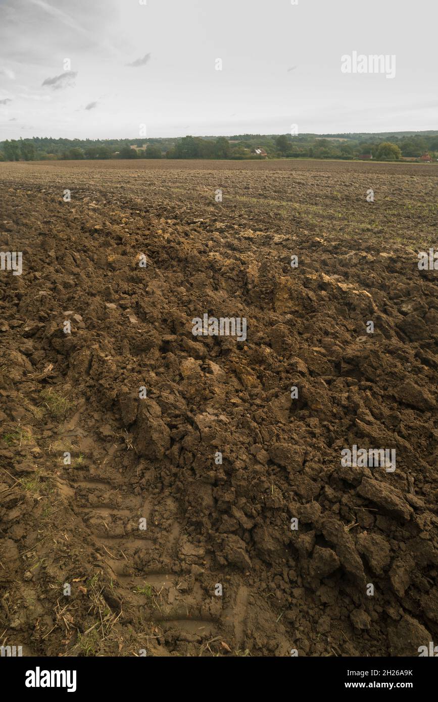 Ploughing large field of sandy sticky clay soil loam by old tractor ...