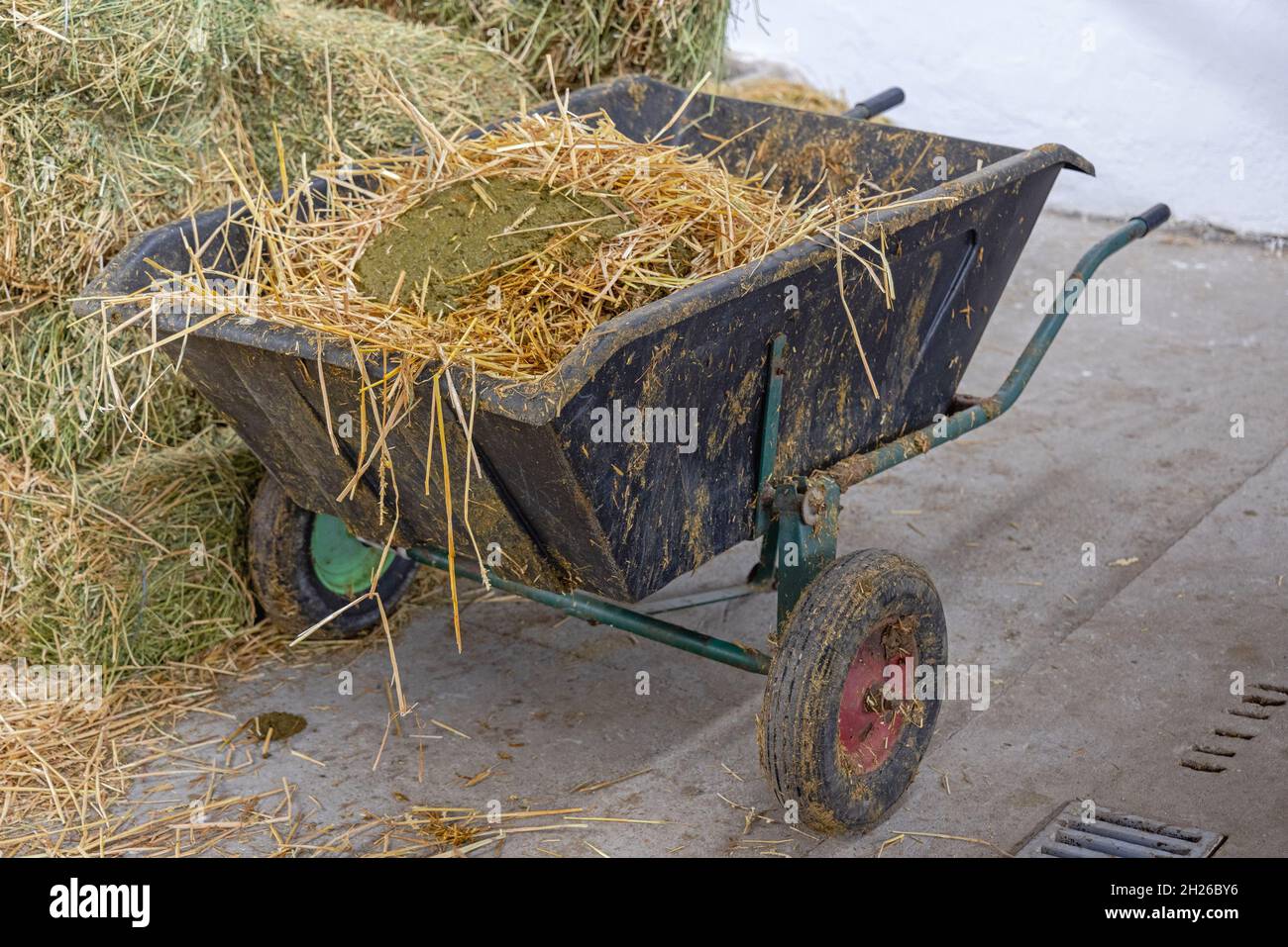 Tipping Wheelbarrow Hay Bales in Stables Farm Stock Photo - Alamy