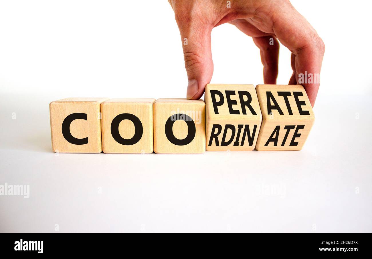 Coordinate and cooperate symbol. Businessman turns wooden cubes and ...