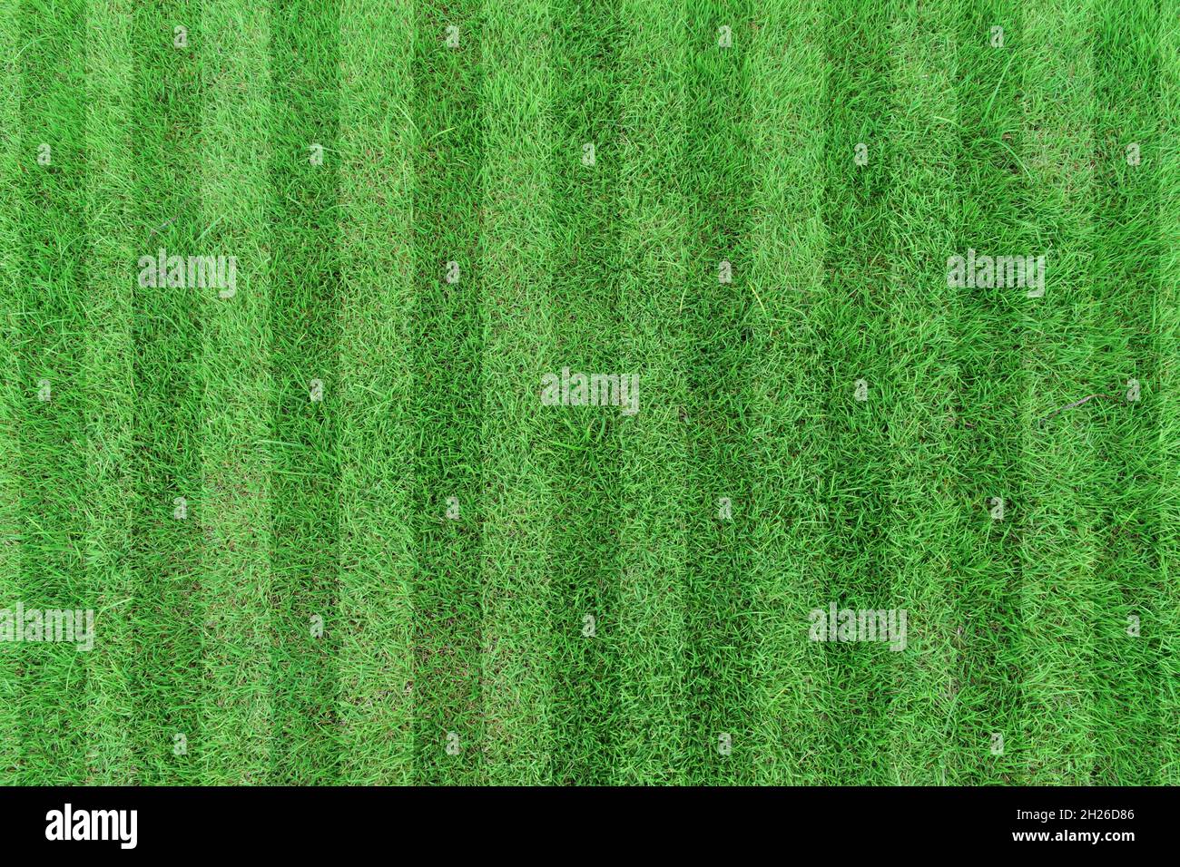 Top view stripe grass soccer field. Green lawn pattern background Stock ...