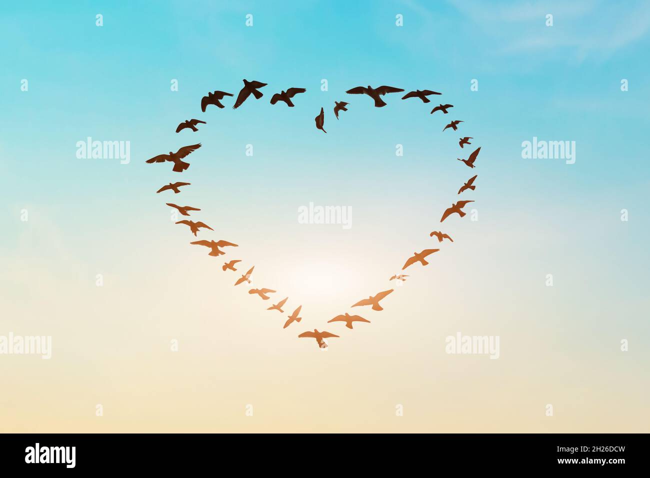 Flock or birds hi-res stock photography and images - Alamy