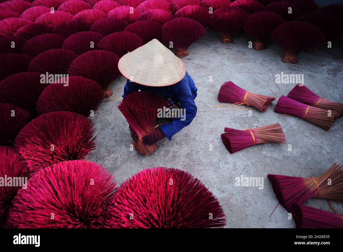 Vietnamese woman are drying incense stick Stock Photo - Alamy