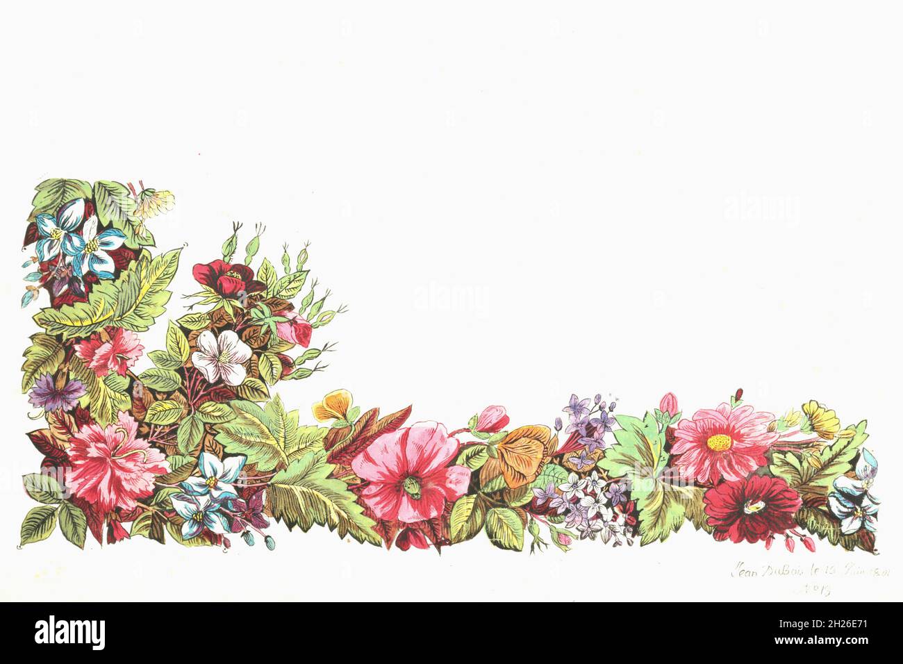 Abstract display of floral patterns hi-res stock photography and images ...