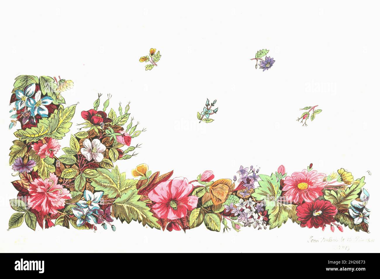 Abstract display of floral patterns hi-res stock photography and images ...