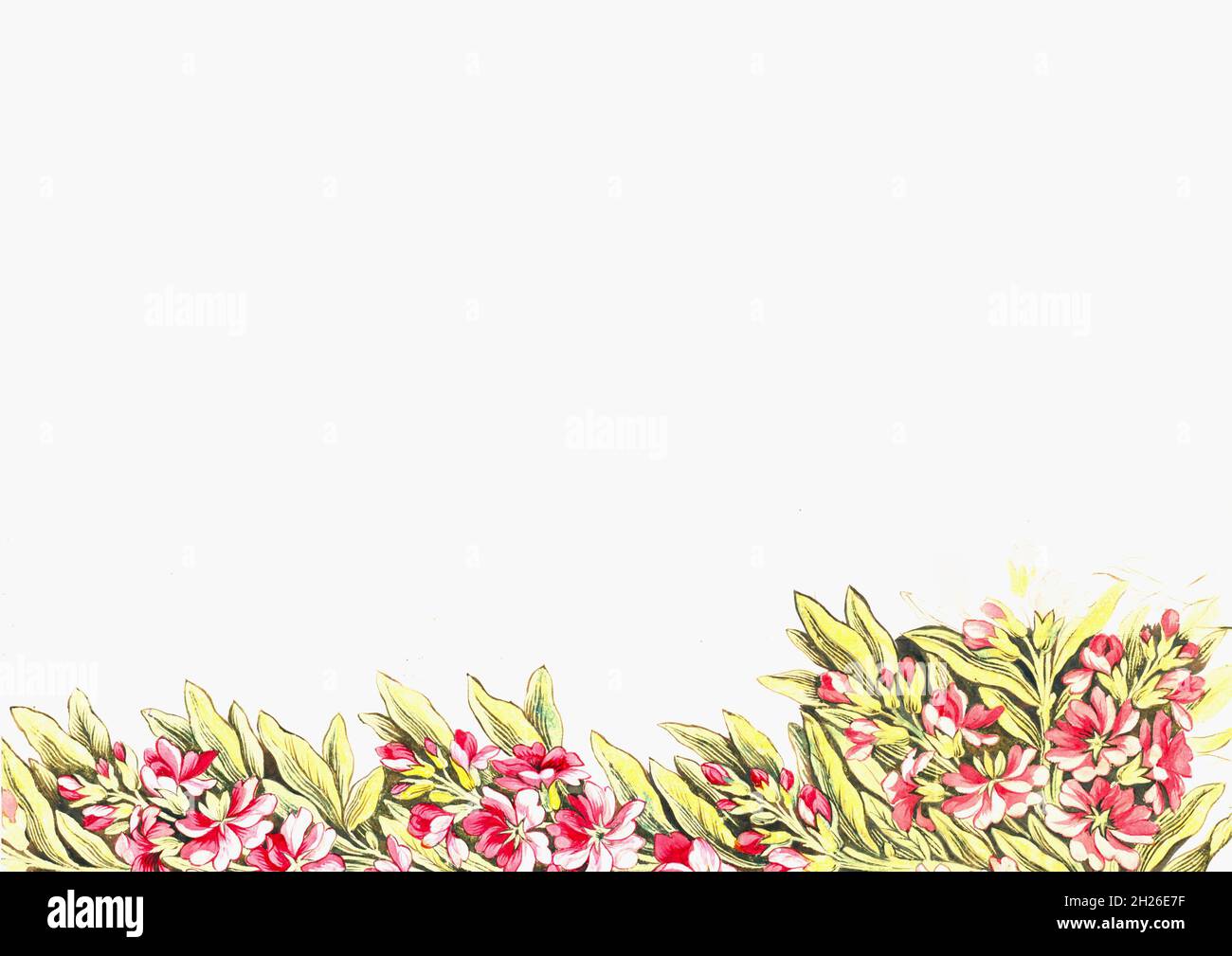 Floral patterns add hi-res stock photography and images - Alamy
