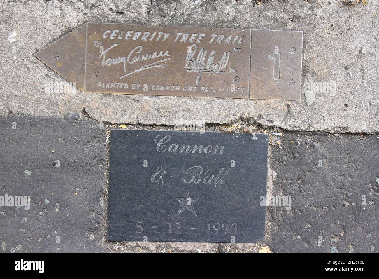 Celebrity tree trail, Belfast, Northern Ireland Stock Photo - Alamy