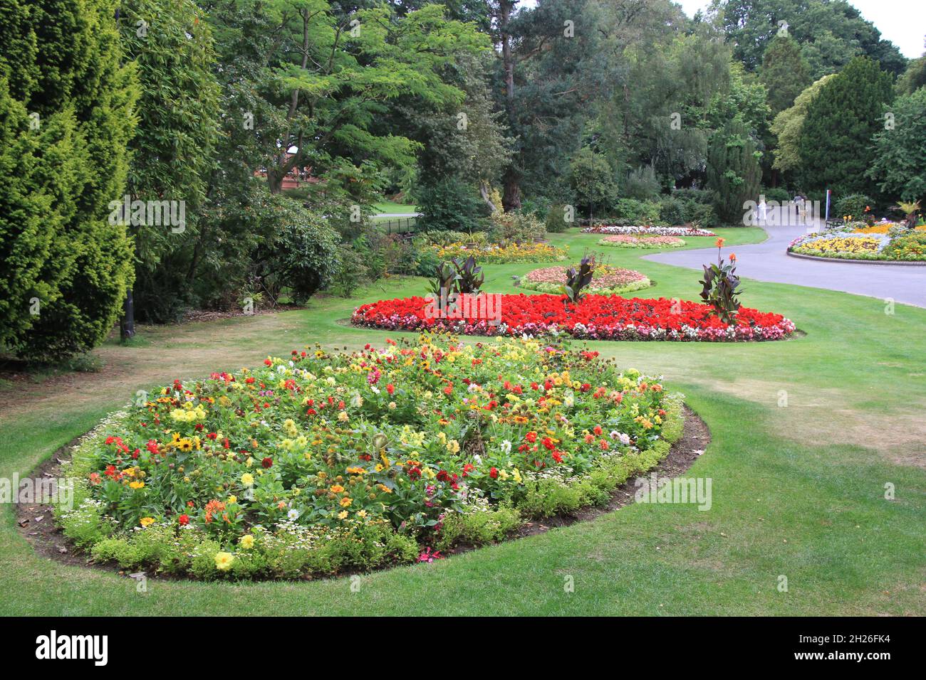 David graham belfast hi-res stock photography and images - Alamy