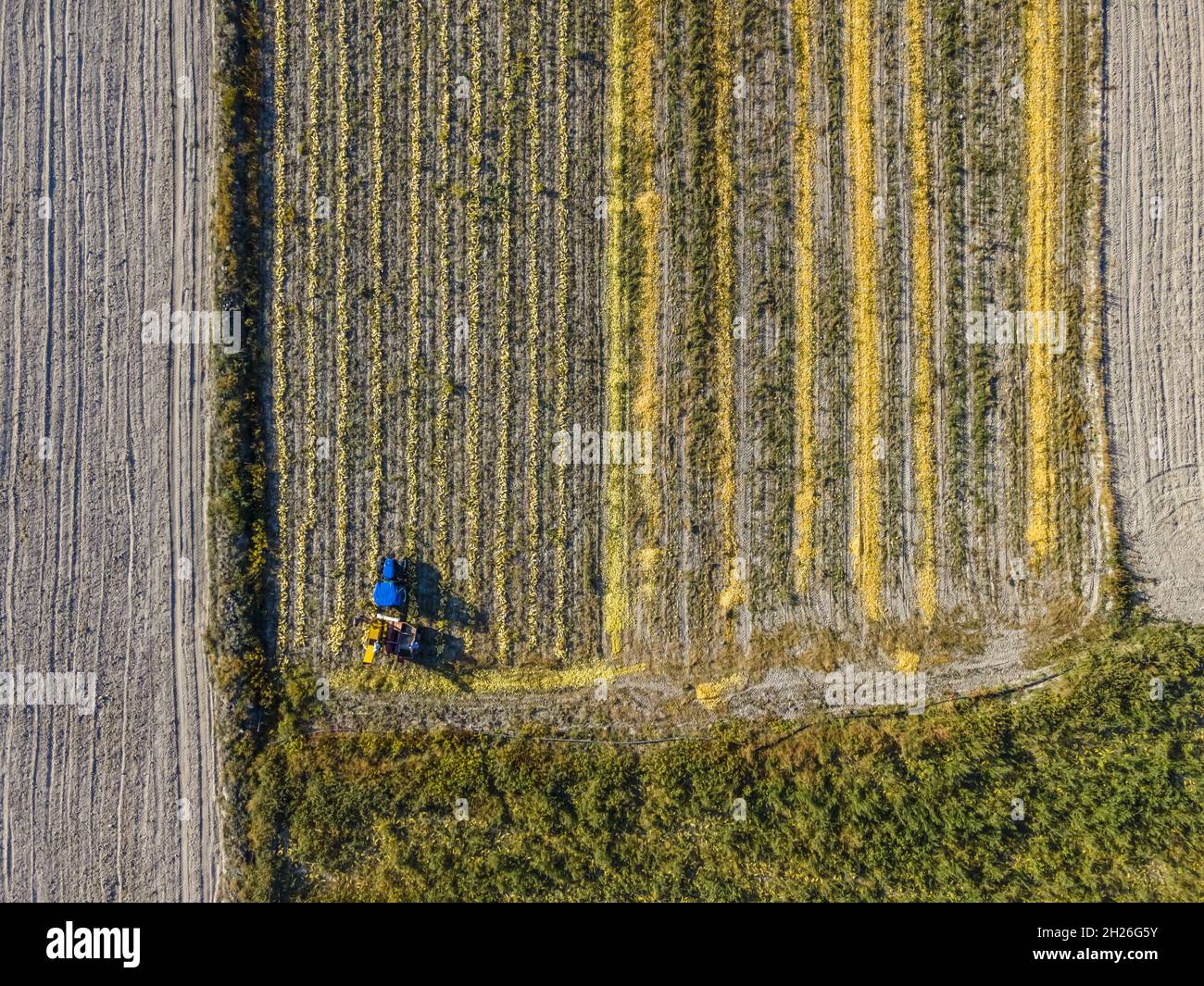 Field viewed from above Stock Photo - Alamy