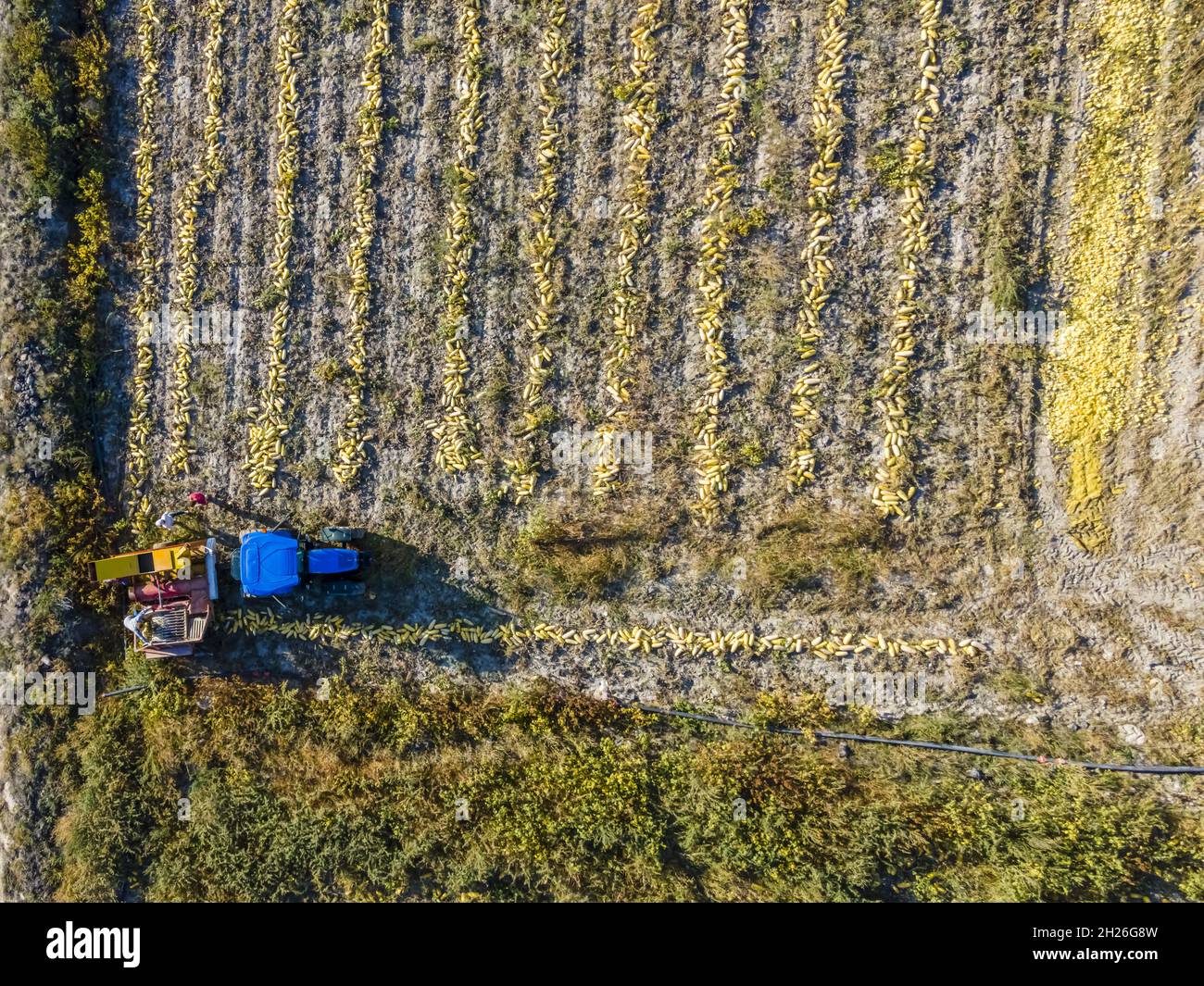 Field viewed from above Stock Photo - Alamy