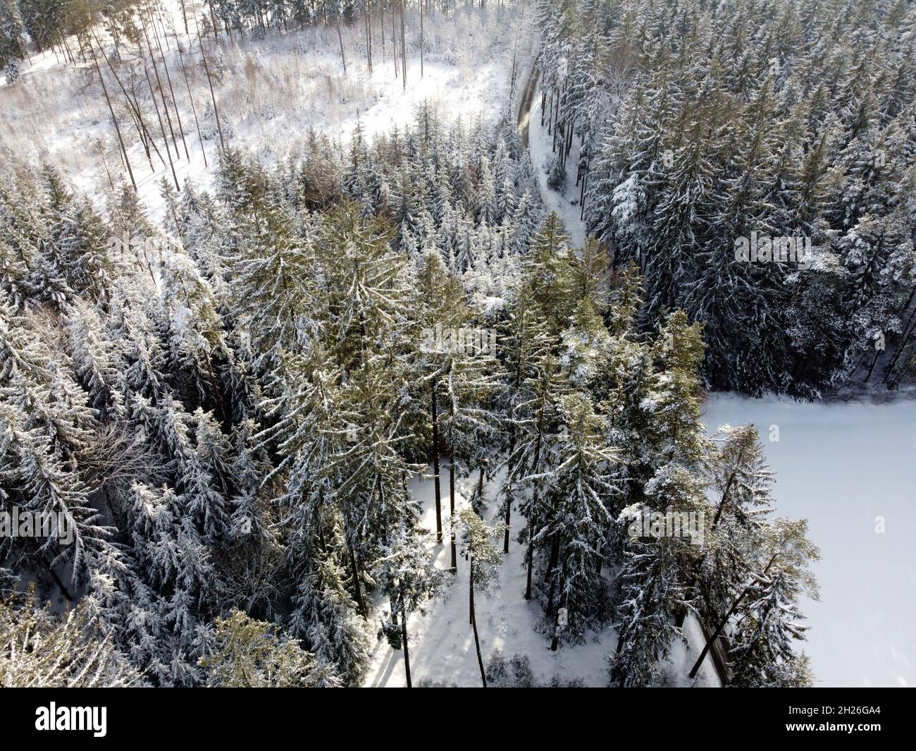 Aerial view of a forest covered with snow Stock Photo - Alamy