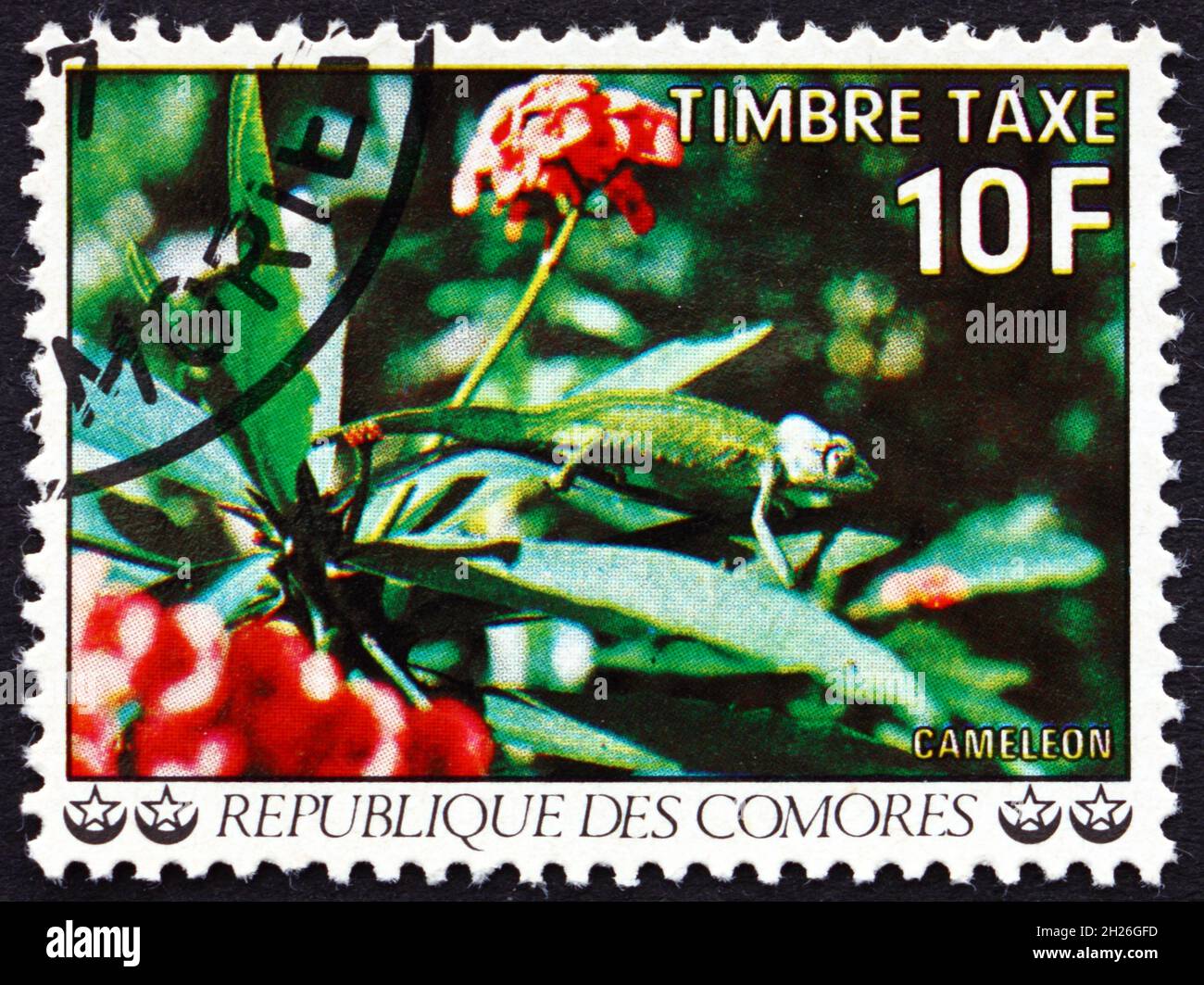 COMOROS - CIRCA 1977: a stamp printed in Comoros shows Chameleon ...