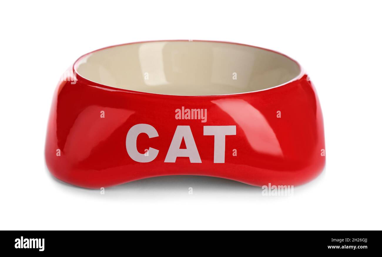 Cat bowl on white background. Pet care Stock Photo - Alamy