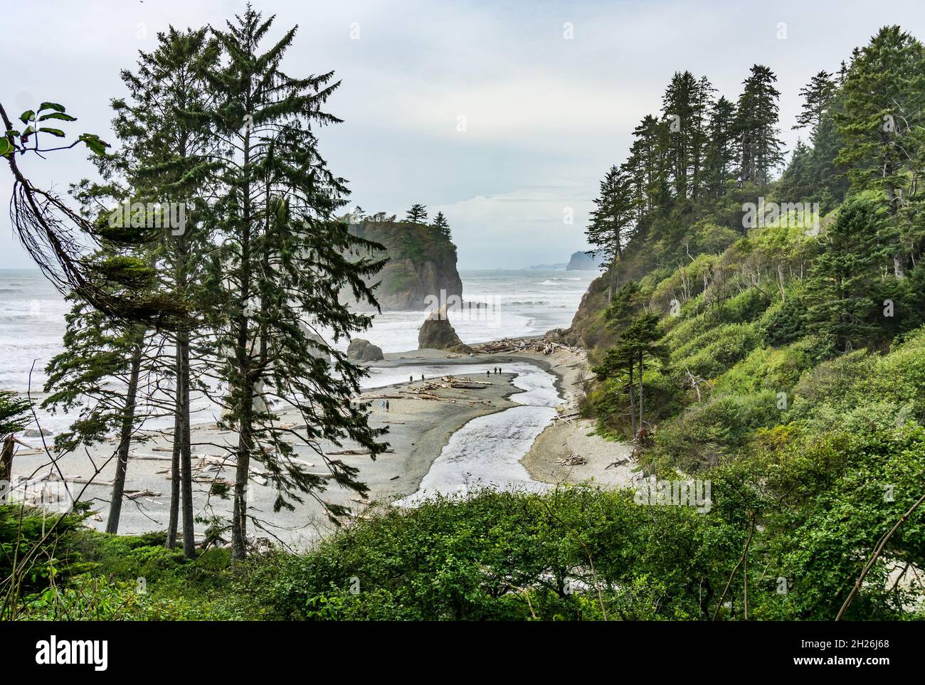 A panoramic view of Ruby Beachin Washington State and the ocean beyond ...