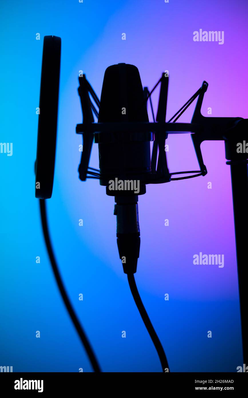 Voiceover studio large diaphragm cardioid microphone in professional ...