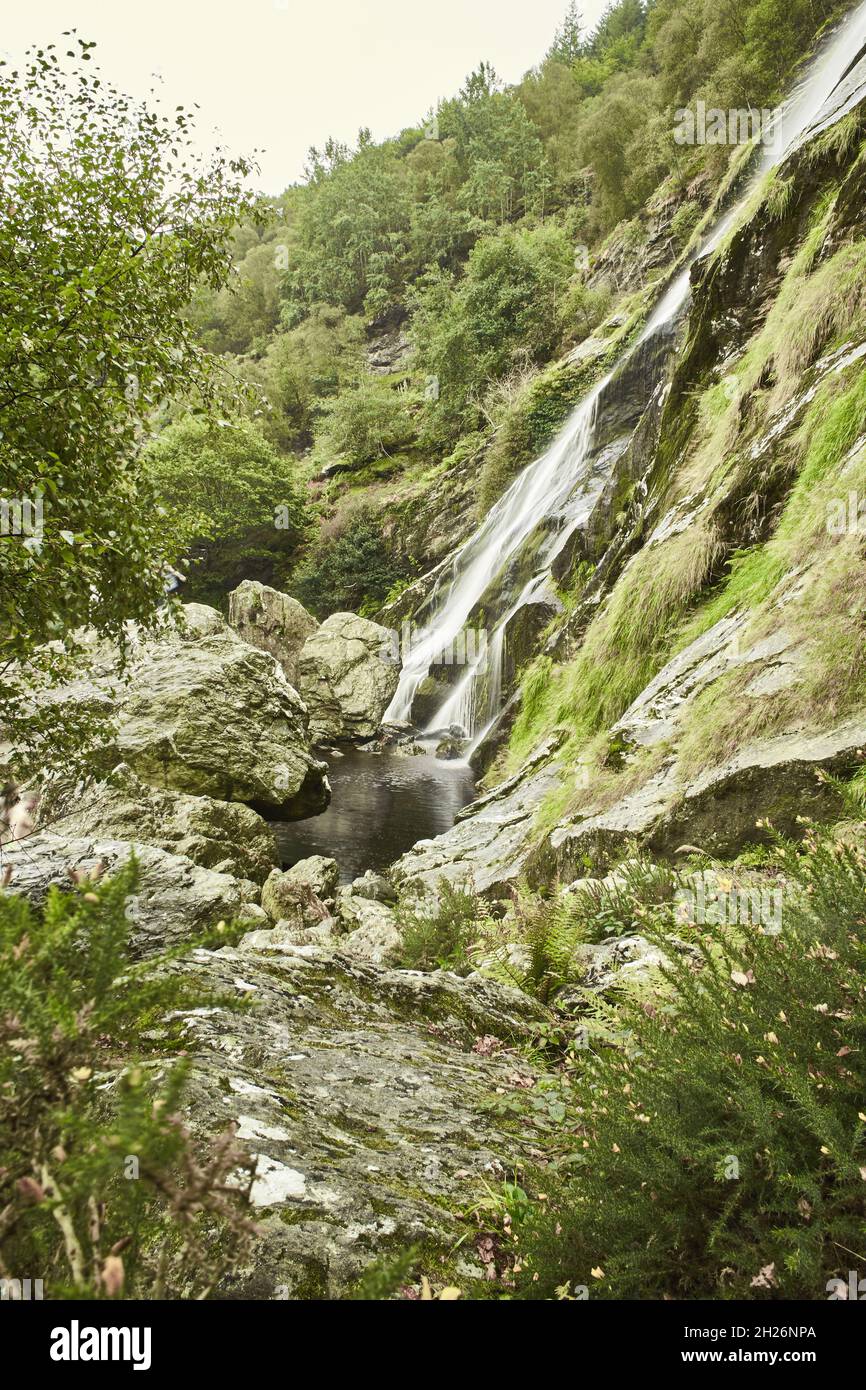 Majestic water cascade of Powerscourt Waterfall, the highest waterfall ...