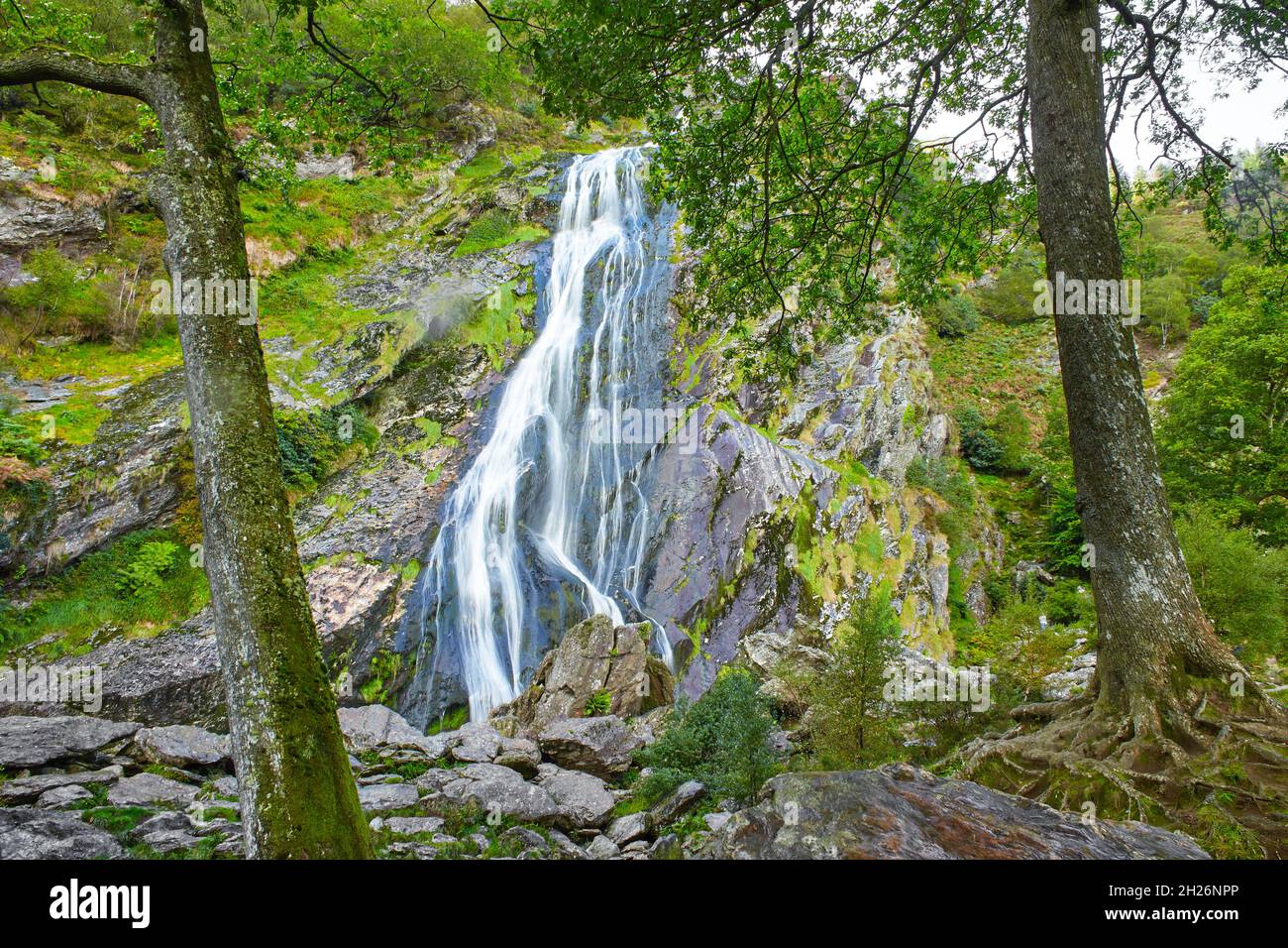 Majestic water cascade of Powerscourt Waterfall, the highest waterfall ...
