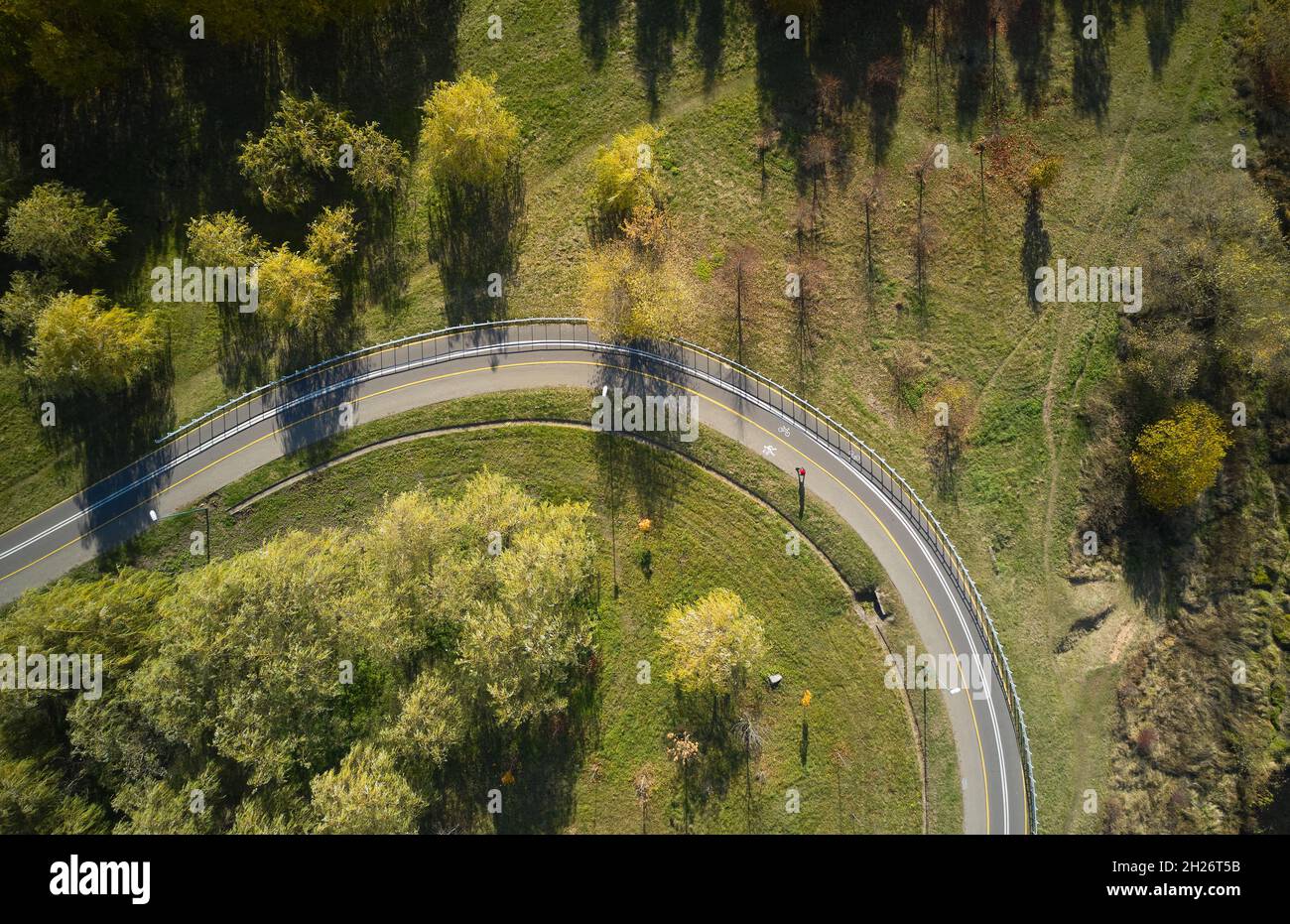 Bicycle path in the park. Ecosystem and healthy environment concepts ...