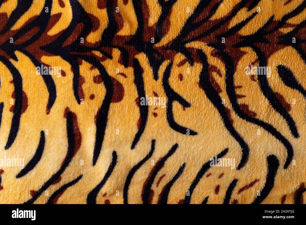 tiger print texture close up, top view, animal pattern Stock Photo - Alamy