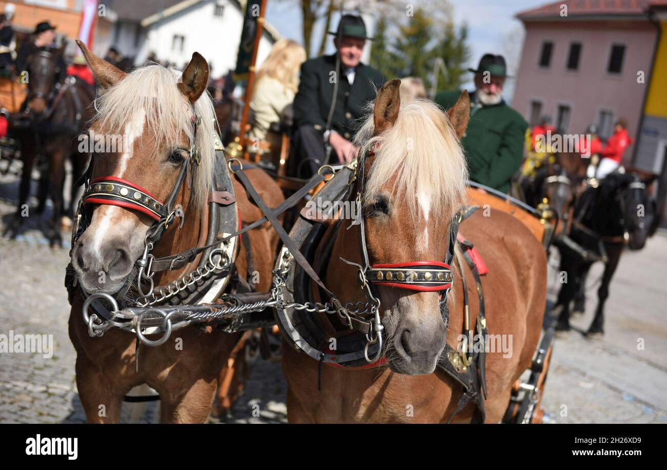 Georgi-Ritt in Wolfsegg (Bezirk Vöcklaruck) - Georgiritt ist die ...