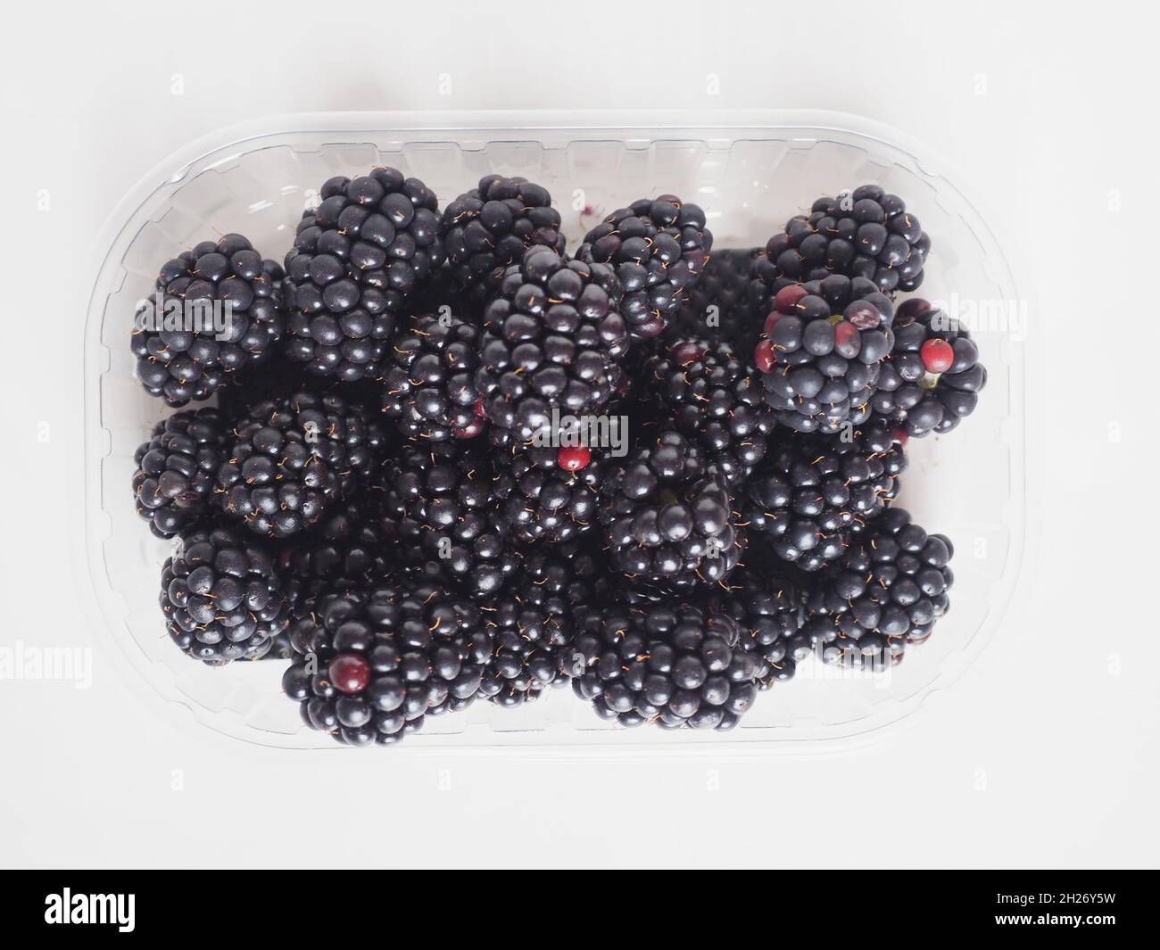 blackberry fruits in a takeaway plastic box Stock Photo - Alamy