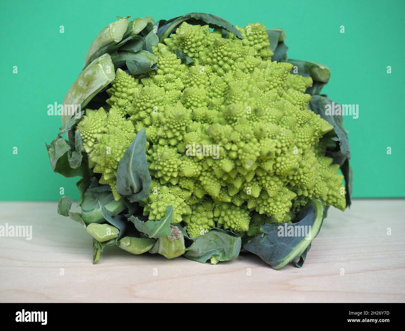 romanesco broccoli (scientific name Brassica oleracea aka Romanesque ...