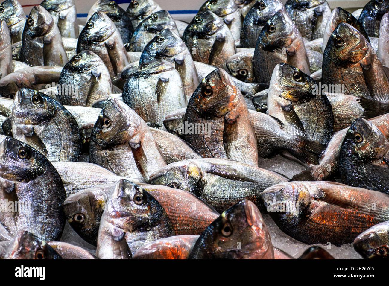 fish for sale Stock Photo - Alamy
