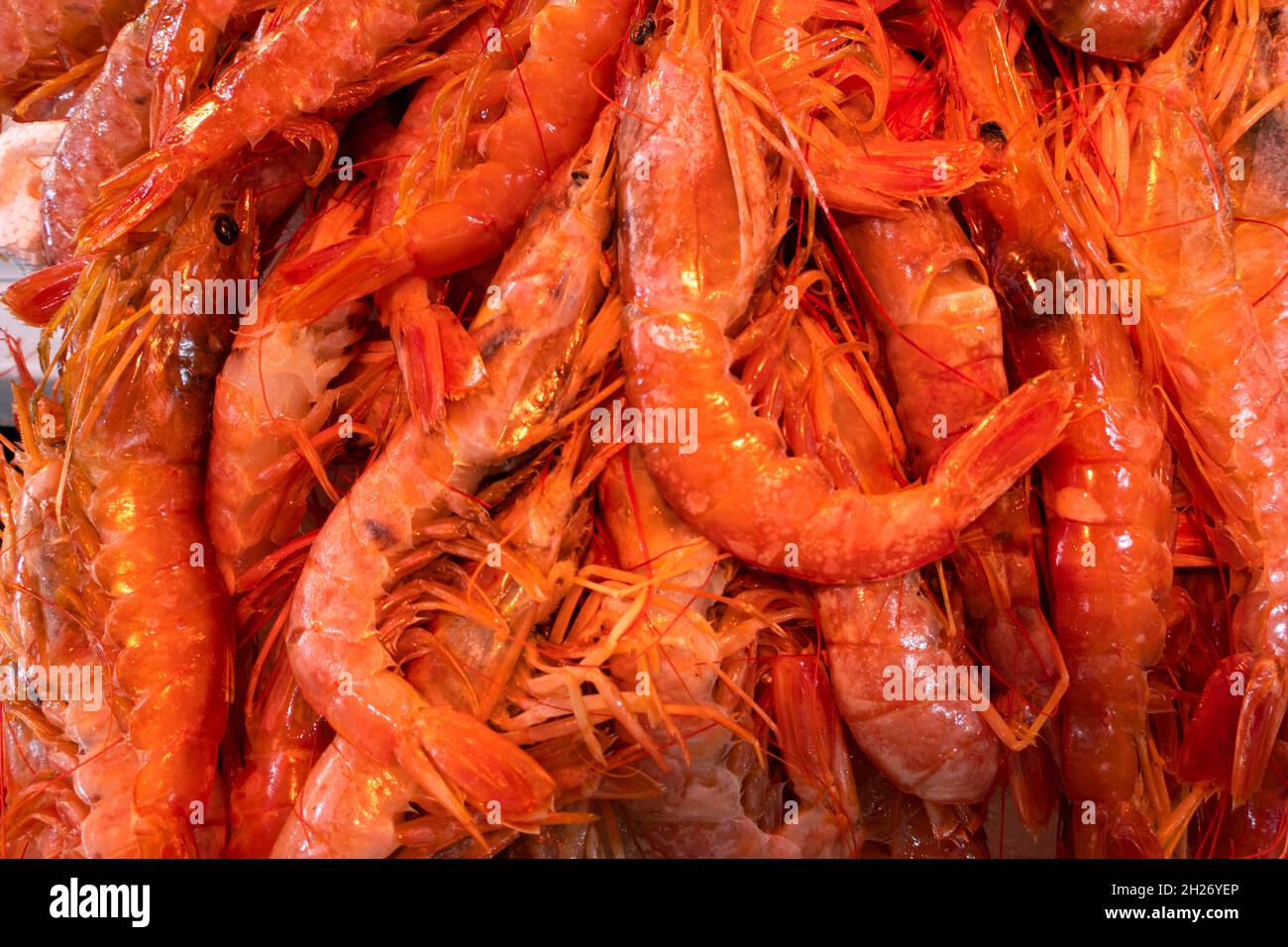 Whole body hi-res stock photography and images - Alamy