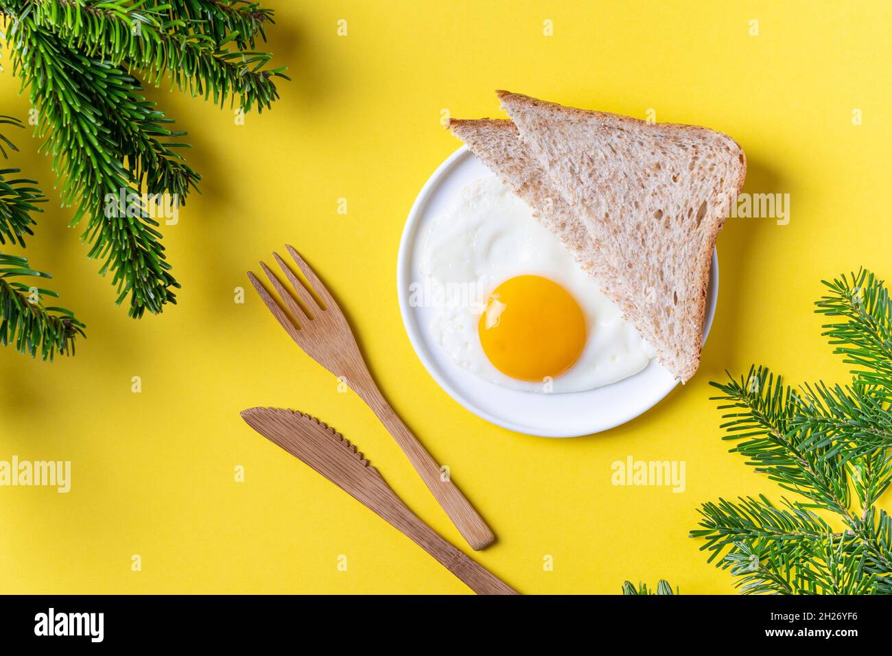 Fried egg and wholegrain bread toast in a white plate on a yellow ...