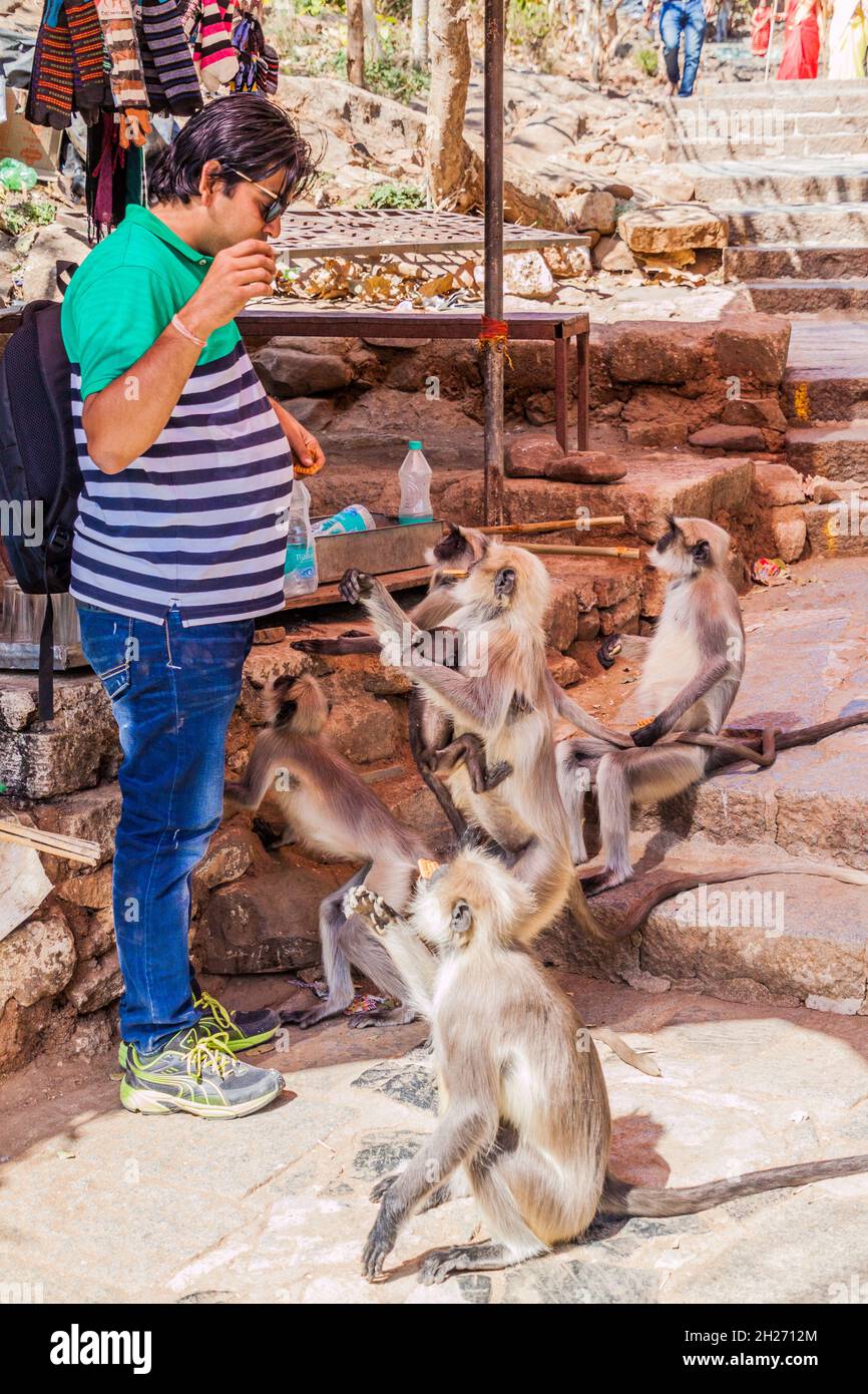 Man feed food monkeys hi-res stock photography and images - Alamy