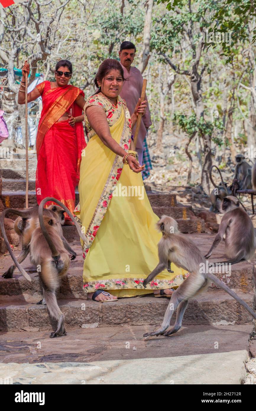 JUNAGADH, INDIA - FEBRUARY 10, 2017: Women feeding langur monkeys with ...
