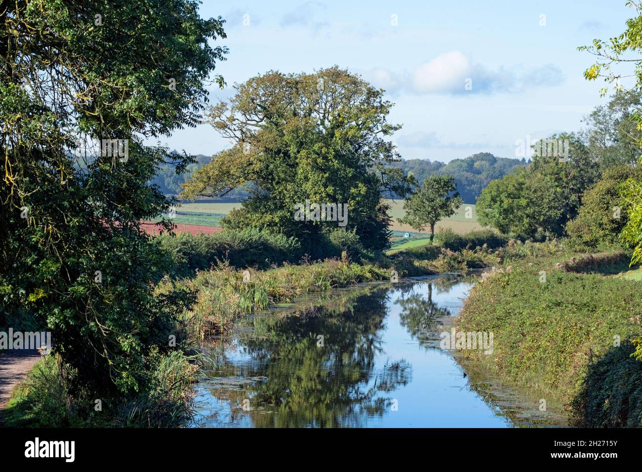 Section of the Grand Western Canal near Halberton in Devon, UK. It was ...
