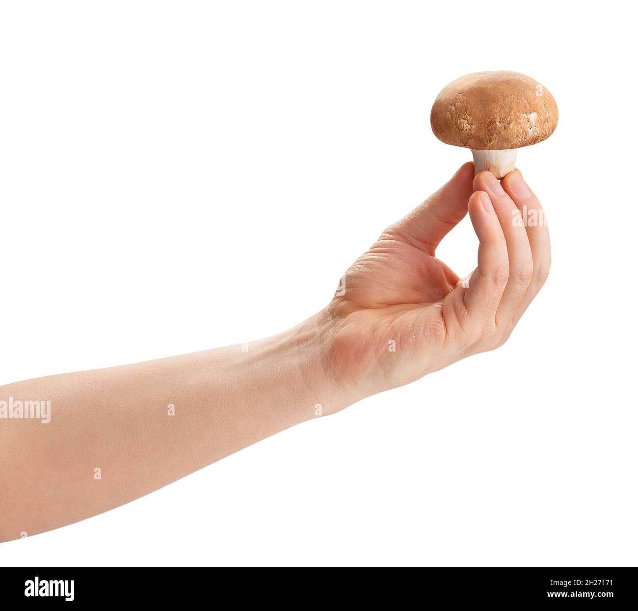 Hand holding mushroom Cut Out Stock Images & Pictures - Alamy