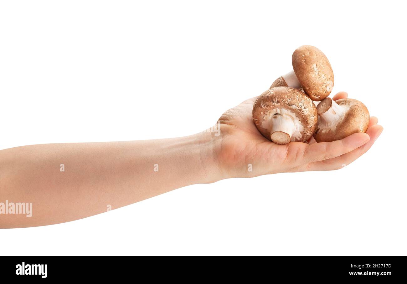 brown mushroom in hand path isolated on white Stock Photo - Alamy