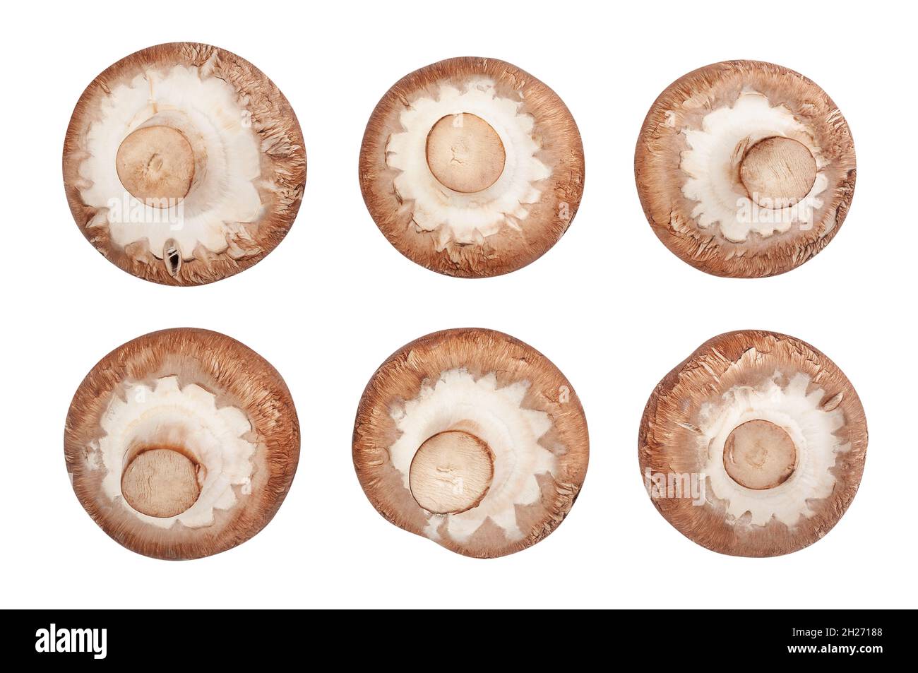 brown mushroom path isolated on white Stock Photo - Alamy