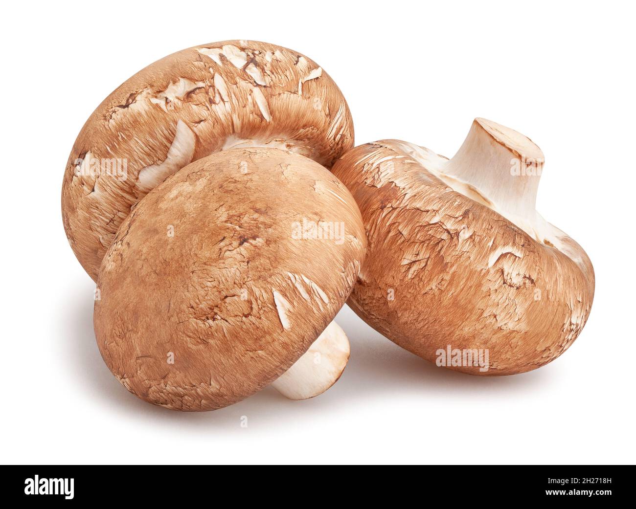 brown mushroom path isolated on white Stock Photo - Alamy