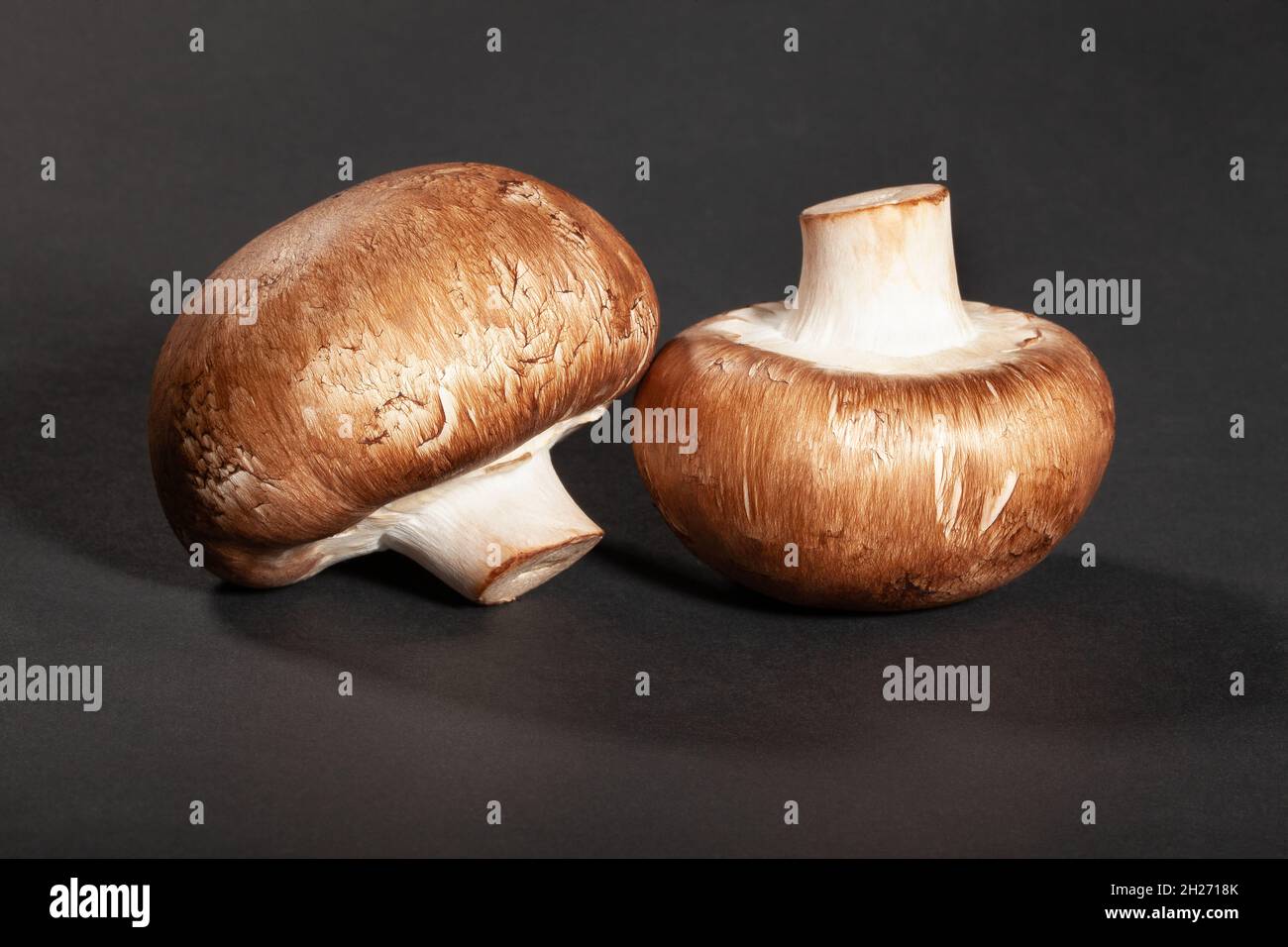 Black mushroom hi-res stock photography and images - Alamy