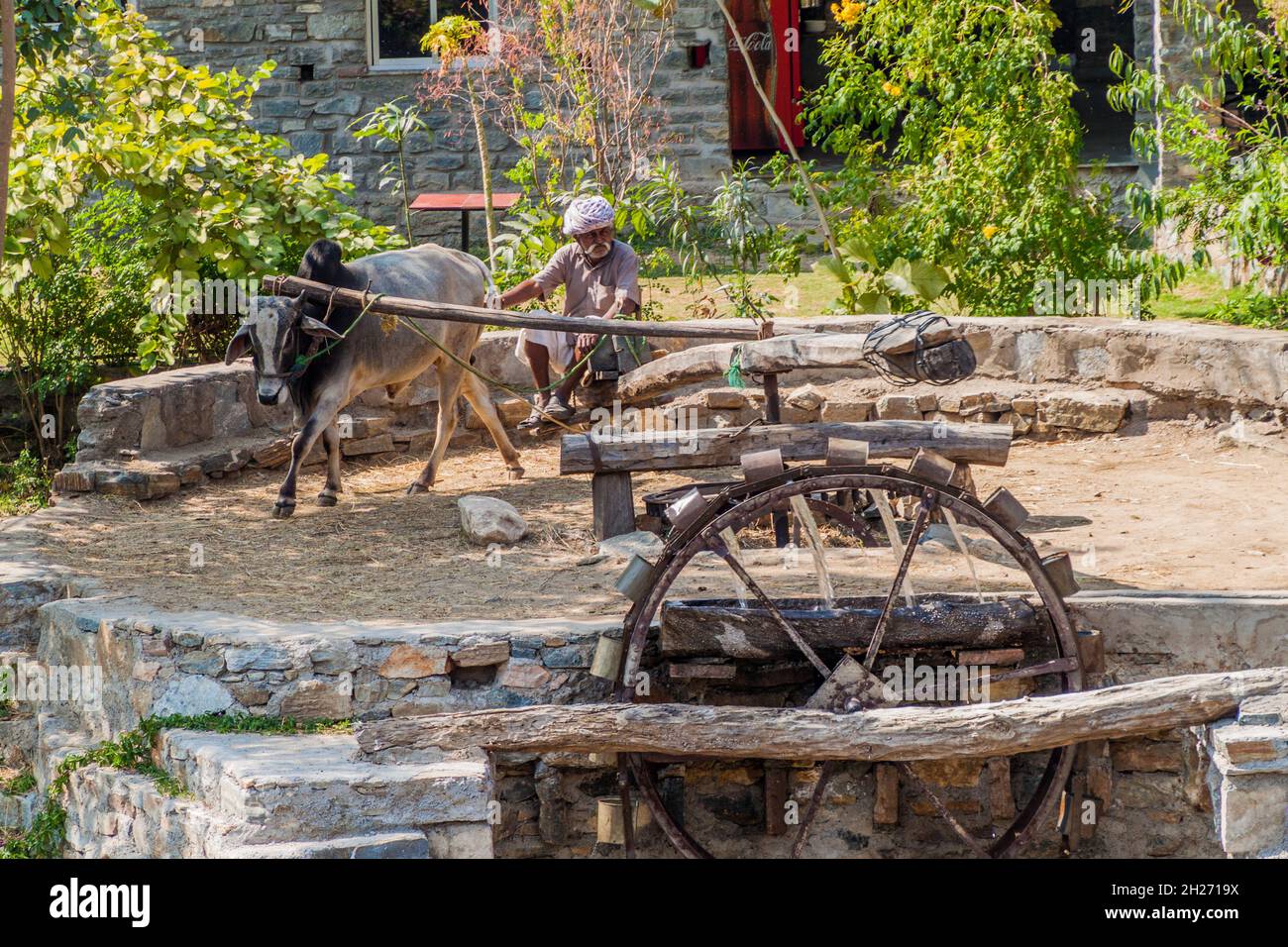 Agriculture india pump water hi-res stock photography and images - Alamy