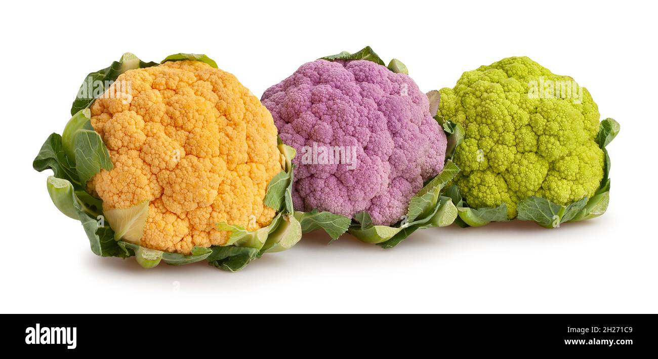 colorful cauliflower path isolated on white Stock Photo - Alamy
